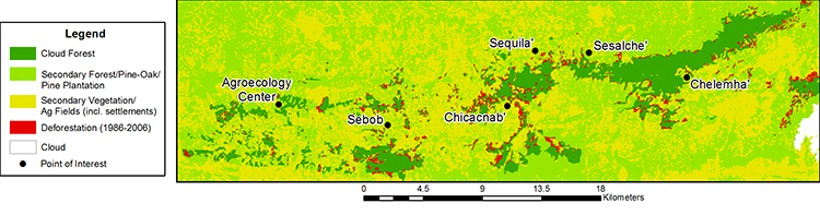 Reforestation - Community Cloud Forest Conservation