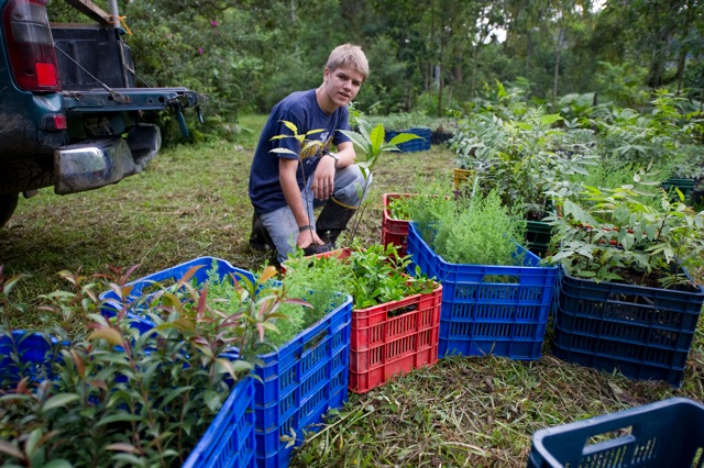 Reforestation - Community Cloud Forest Conservation