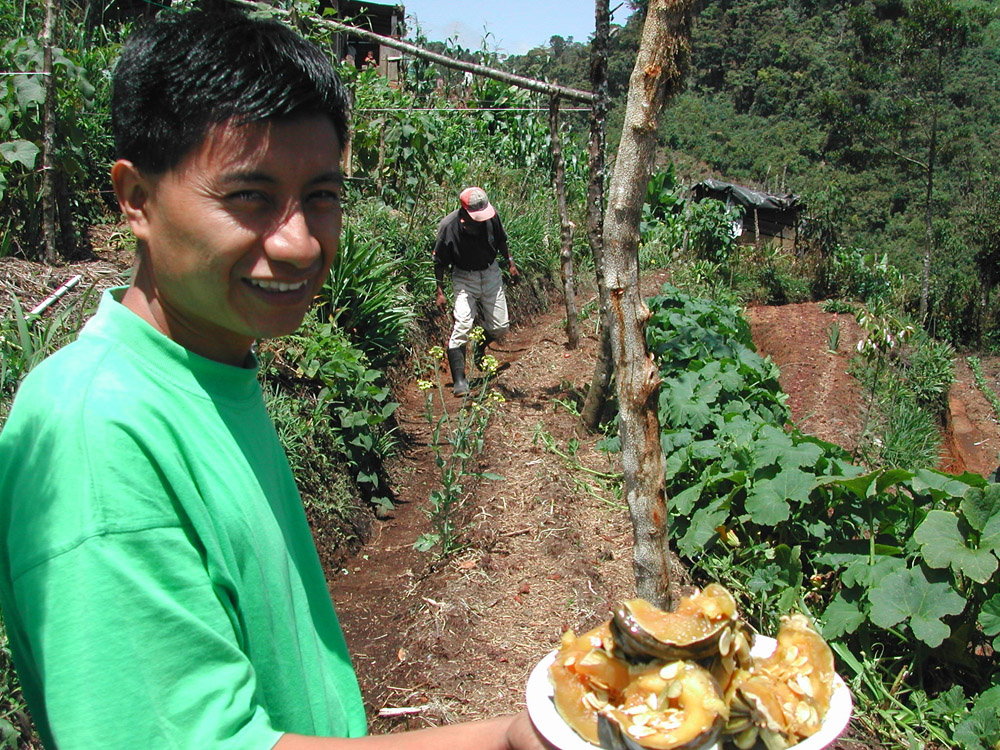 Agroecology - Community Cloud Forest Conservation