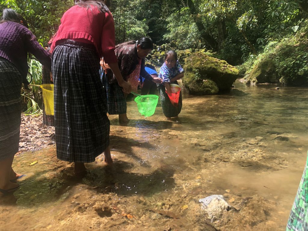 Water, Forests and Conservation, a new unit for CCFC's Kids & Birds ...